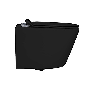 Fine Fixtures Dakota Wall Hung Toilet With Rimless Flush - Black