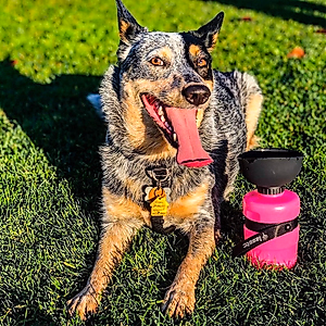 lesotc Dog Water Bottle, Portable Dog Water Dispenser, Leak Proof Dog Travel Water Bottle, Squeeze Pet Water Bottle for Walking On The Go, Dog Hiking Accessories for Outdoor Walking, Hiking, Travel