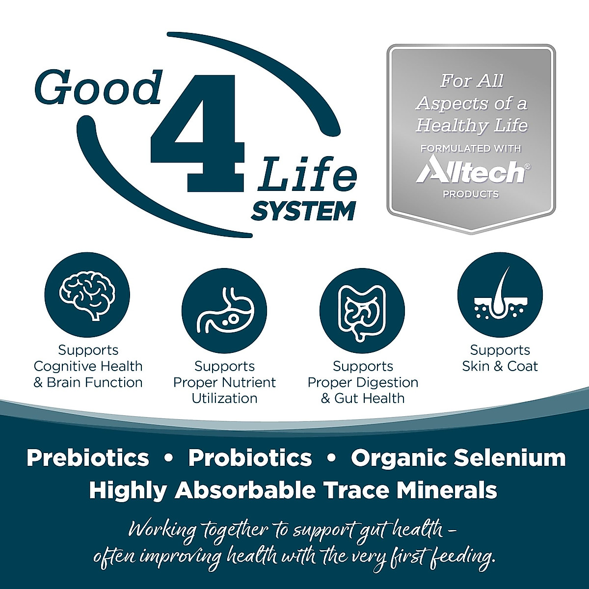 NutriSource Adult Dry Dog Food, Small Bites, Chicken and Rice, 12LB