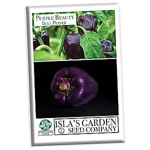 Purple Beauty Sweet Bell Pepper Seeds for Planting, 100+ Heirloom Seeds Per Packet, (Isla's Garden Seeds), Non GMO Seeds, Botanical Name: Capsicum annuum, Great Home Garden Gift