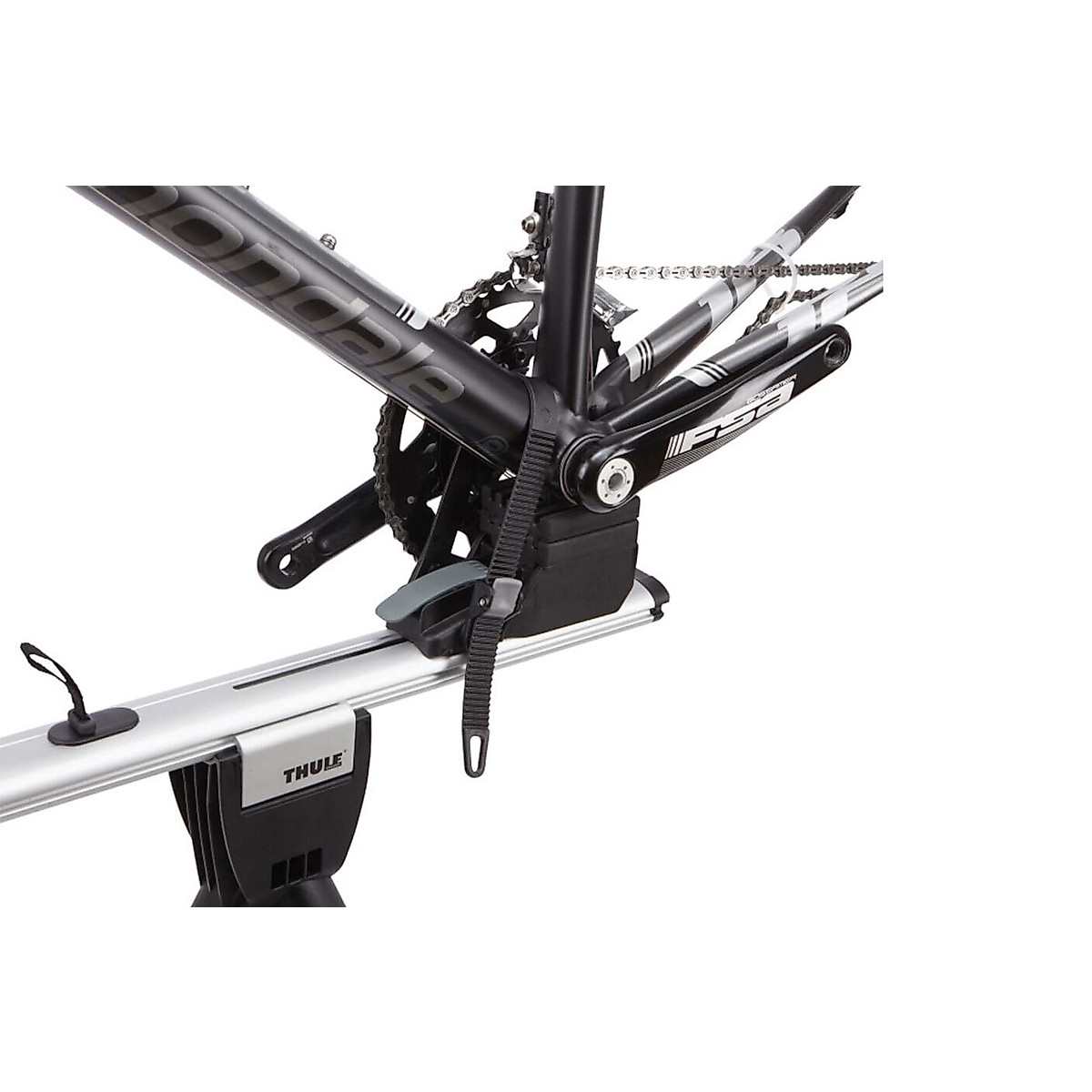 Thule RoundTrip Transition – Hard Shell Bike Travel Case with built-in Repair Stand