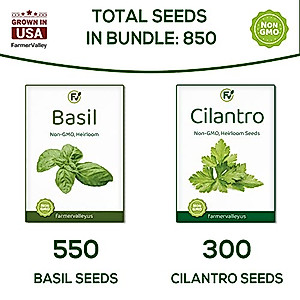 Medicinal and Tea Herb Seeds Variety Pack for Planting Indoors, Outdoors and Hydroponically - USA Grown, Heirloom, Non GMO Herbal Garden Seeds, Including Basil and Cilantro