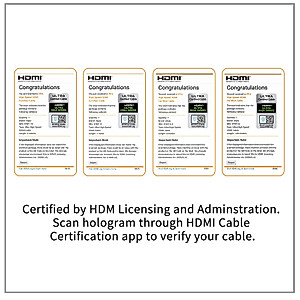 Powered USB Hub 10Gbps, 10 Port USB 3.1 Gen 2 Hub with 7 USB 3.1 Data Ports, 3 Fast Charging Ports (5-in-1)