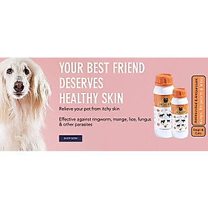 Classic's Lime Sulfur Dip (16 oz) - Extra Strength Formula - Safe Solution for Dog, Cat, Puppy, Kitten, Horse