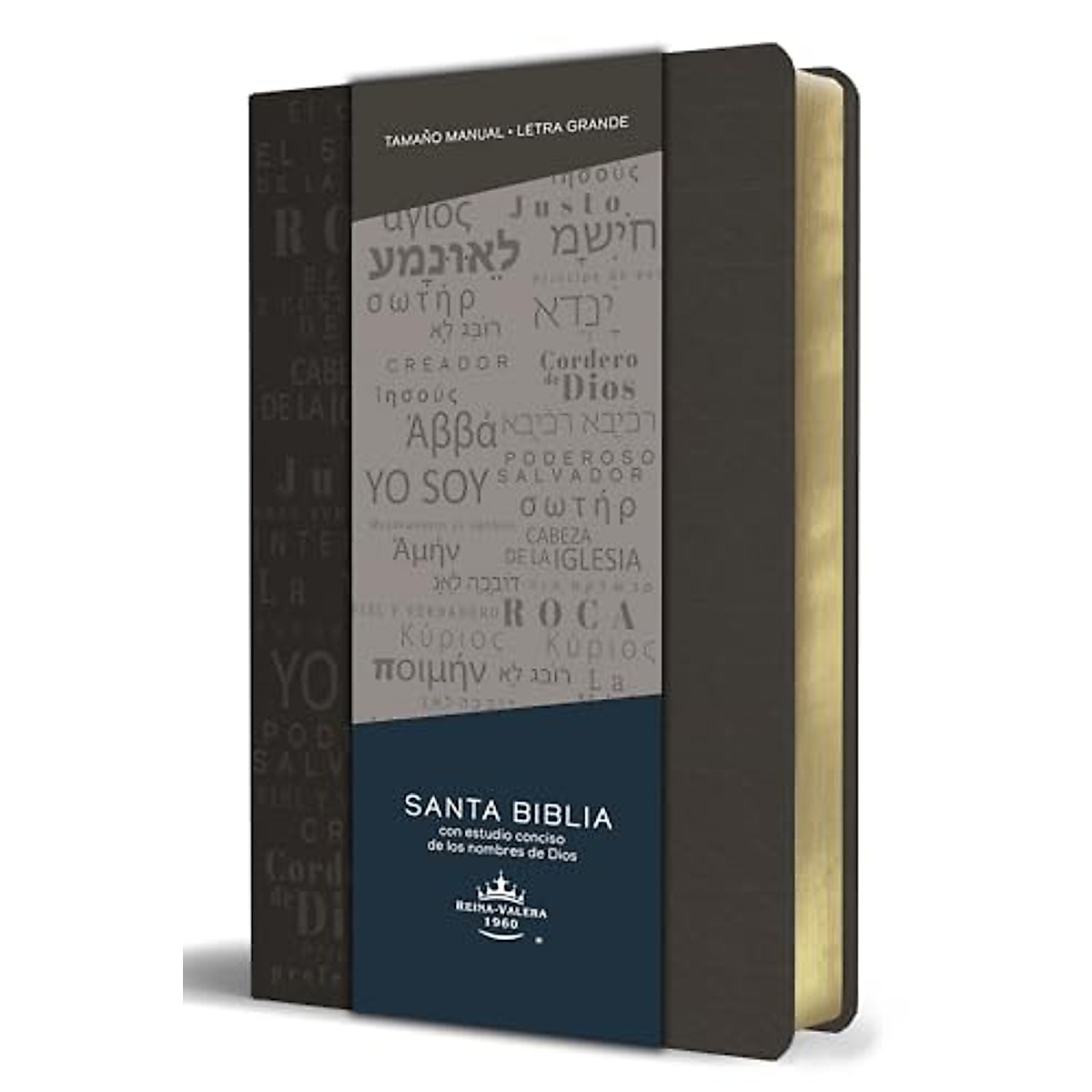 Biblia RVR 1960 letra grande tamaño manual, simil piel gris con nombres de Dios / Spanish Bible RVR 1960 Handy Size Large Print Leathersoft Grey, Names of god