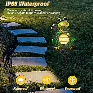 HEDAQI Outdoor Solar Frog Shape Stake Lights with Crackle Glass Globe, Metal Solar Powered Waterproof LED Pathway Ligths for Decor Garden Lawn, Backyard, Patio, Yard, Walkway