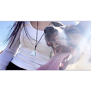 Logan Whistle Starter Pack - A1 sheep dog Whistle, lanyard and whistle command sound guide