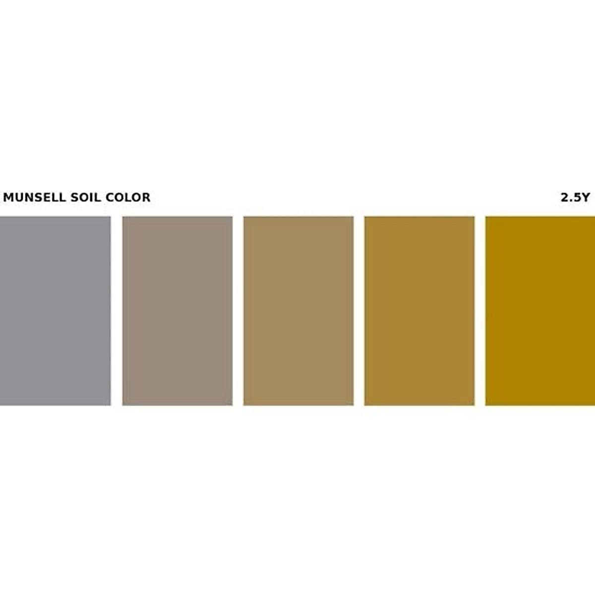 CafePress 2.5YR Mug Ceramic Coffee Mug, Tea Cup 11 oz