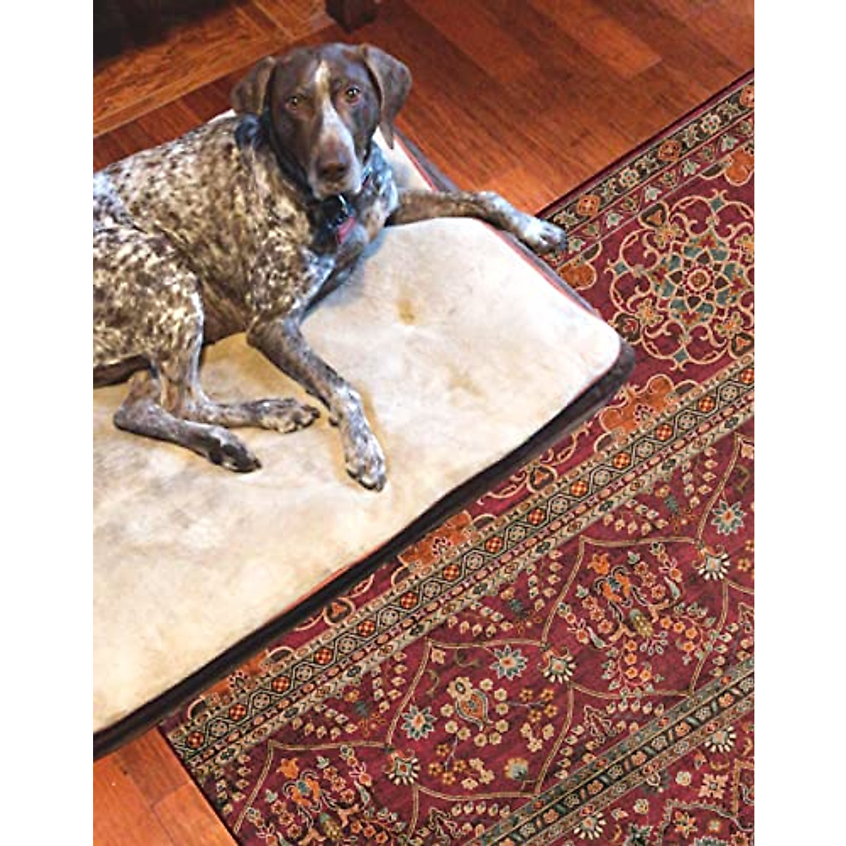 Linon Home Decor Products The Anywhere Washable Rug Yarit Garnet & Ivory 3' X 5' Accent Rug