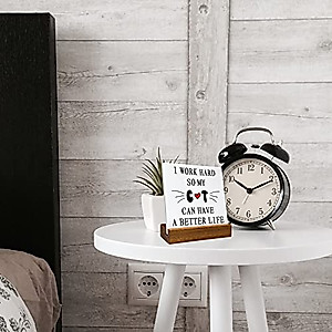 QiCHo Inspirational Sign For Desk, Fun Office Decorations, Gifts For Cat Lovers, Novelty Birthday Gifts, Office Positive Plaque, Xmas Present - I Work Hard So My Cat Can Have A Better Life, With Wooden Stand