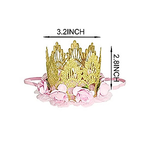 BGFKS Layered Tulle Tutu Dress for Toddler Girls,Baby Girl Tutu Princess Skirt Set with Lace Rose Flower Crown.(Pink,12 Months)