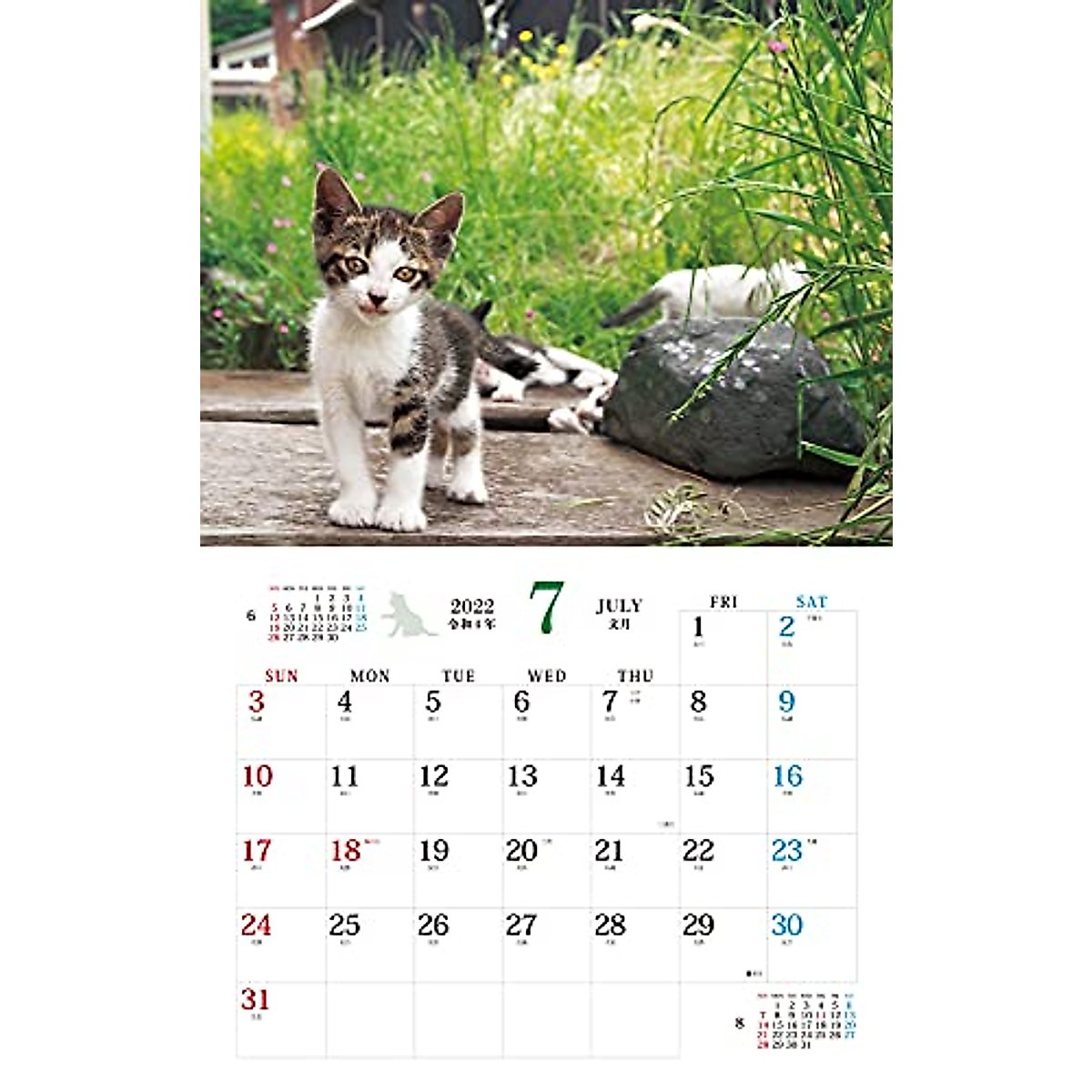 そとねこ (インプレスカレンダー2022)