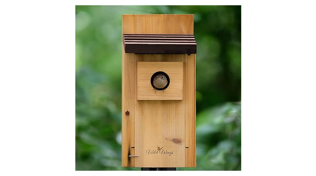 Wild Wings Cedar Blue Bird Box for Attracting Bluebirds