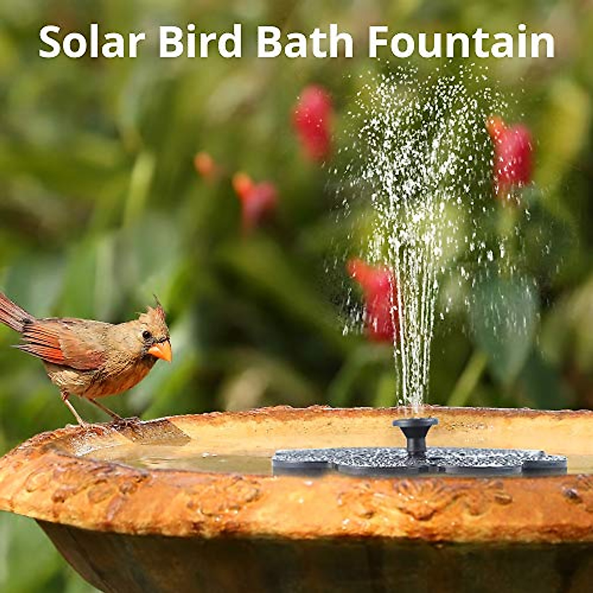 Qualife Solar Water Fountains Outdoor, Solar Powered Fountain Pump for Bird Bath,1.6W Solar Pond Fountain Pump for Garden Decor,Birdbath Pond Pool .