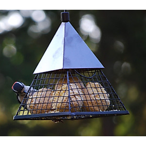 Wildlife Sciences Suet Balls 24 Pack, 6 Individually Wrapped Packs of 4 Bird Suet Balls (Peanut Blend)