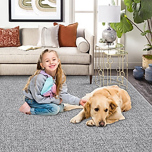 ROYHOME 9x12 Area Rug Large Machine Washable Modern Solid Textured Area Rug Contemporary Stain Resistant Non-Slip Accent Rug Foldable Floor Cover Carpet Rug for Living Room Decor, Light Grey