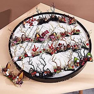 TOECWEGR Christmas Reindeer Antlers Headband Hair Clips Hair Hoop Girl Holiday Beauty Headdress (Christmas 9752s05M)