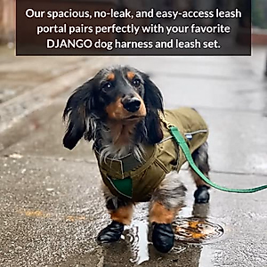 DJANGO City Slicker All-Weather Dog Jacket & Water-Repellent Raincoat with Reflective Piping (Medium, Kombu Green)