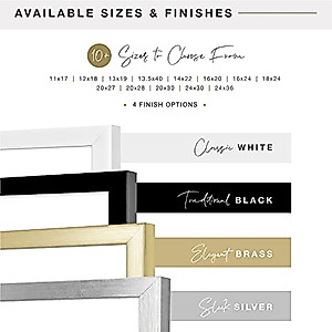 MCS Gallery Foundation Poster Frame, Picture Frame For Wall Art, Brass, 20 x 28 Inch, Single