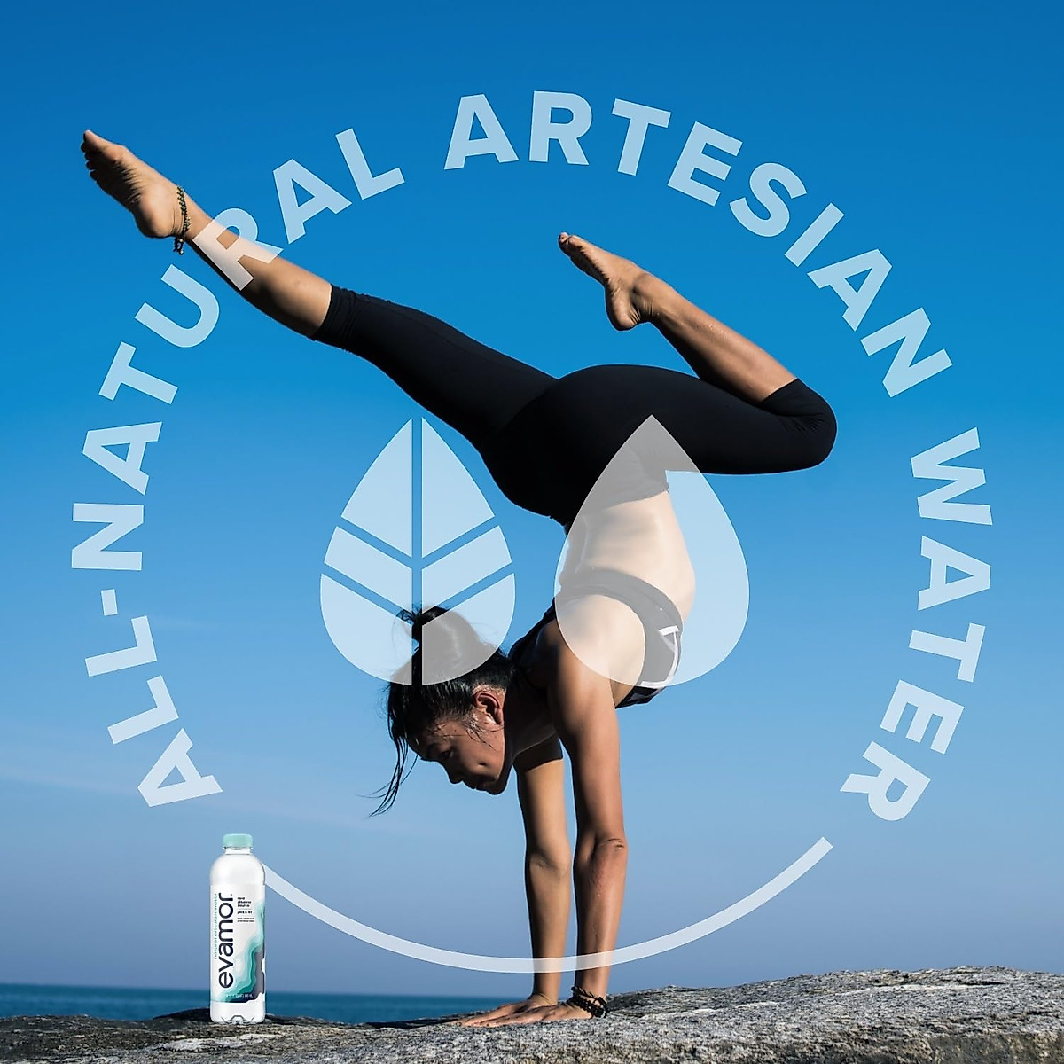 evamor Artesian Bottled Water - Single Source, Naturally Alkaline and Full of Electrolytes Refreshing and Smooth Tasting Water for Hydration and Health, 20 Fl. Oz. Bottles (Pack of 12)