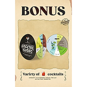 KITESSENSU Cocktail Shaker, 18oz Martini Shaker with Strainer, Premium 18/8 Stainless Steel Cobbler Drink Shaker, Recipes Booklet Included