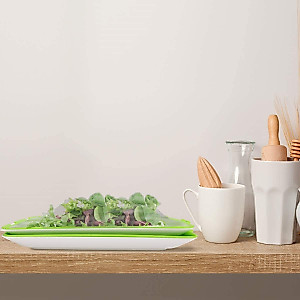 Food Plastic Preservation Tray,Stackable Food Tray Reusable Creative Food Preservation Tray for Food Preservation 2 Pack