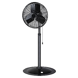 Dayton Light Dty Indstrl Fan,20" Blde Dia,2Spd