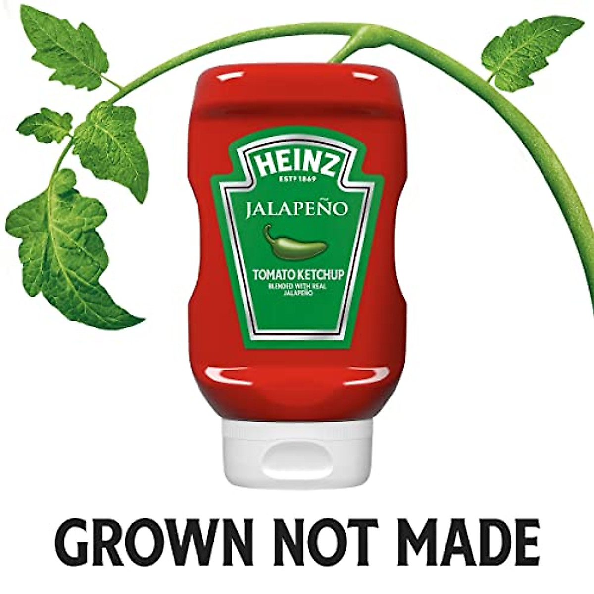 Heinz Jalapeno Tomato Ketchup Blended with Jalapeno (14 oz Bottle)