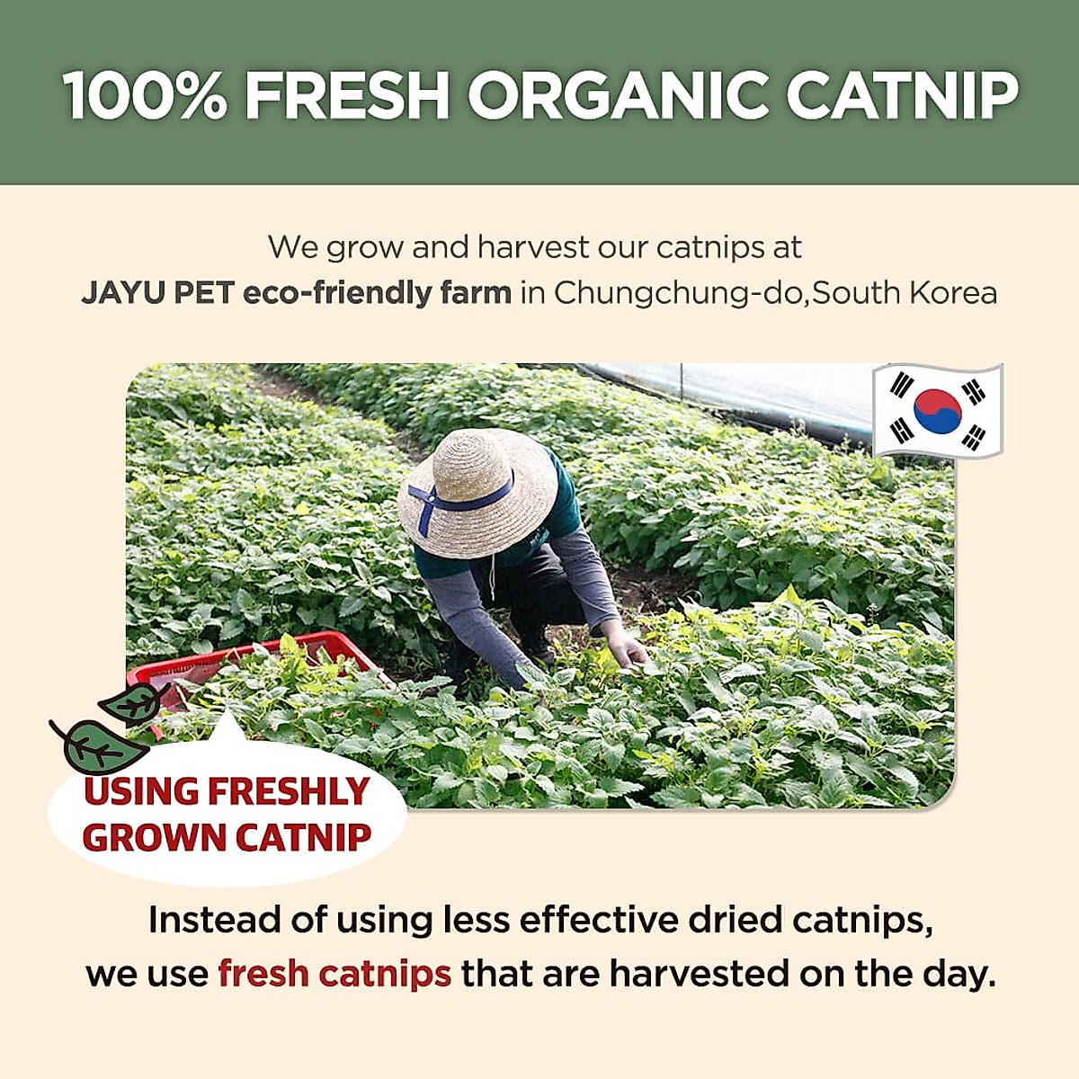Active Catnip Spray - High Potency Transparent Liquid Spray made of Fresh Organic Catnip for Indoor Cats and Kittens, Relieves Stress, Calming, Revives Toys & Scratching Posts, Exercise (1fl oz)