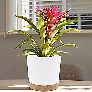 QCQHDU Plant Pots Set of 2 Pack 8 inch,Planters for Indoor Plants with Drainage Holes and Removable Base,Saucer Modern Decorative for Outdoor Garden Planters(White 8in)