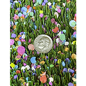 Festive Mexican Paper Confetti Bag- 10oz/285gr. Perfect for Birthday Parties, Pinata filler, Easter Eggs (cascarones), Wedding Toss, Fiesta Party Decor, Cinco de Mayo and much more!