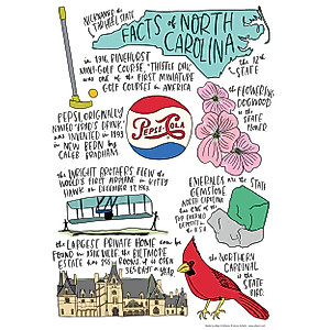Allport Editions North Carolina State Facts Kitchen Towel - 100% Cotton Kitchen Dish Towel