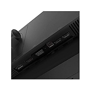 Lenovo ThinkVision T24i 23.8in 1920 x 1080 FHD IPS WLED-Backlit LCD 2-Pack Raven Black Monitor Bundle with HDMI, VGA, DisplayPort, USB Hub, Fully Adjustable Desk Mount Monitor Stand
