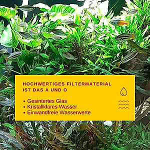 Sera Siporax Professional 15 mm 1, 000 mL, 10.2 oz. Aquarium Filter Accessories