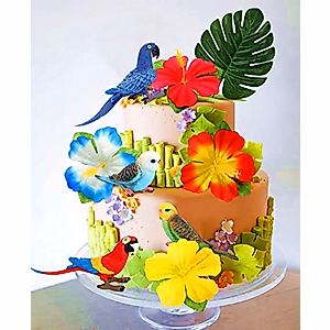 JeVenis Parrot Birthday Cake Decoration Tropical Bird Cupcake Decoration Parrot Party Supplies Tropical Bird Cake Decoration Parrot Birthday Party Decoration