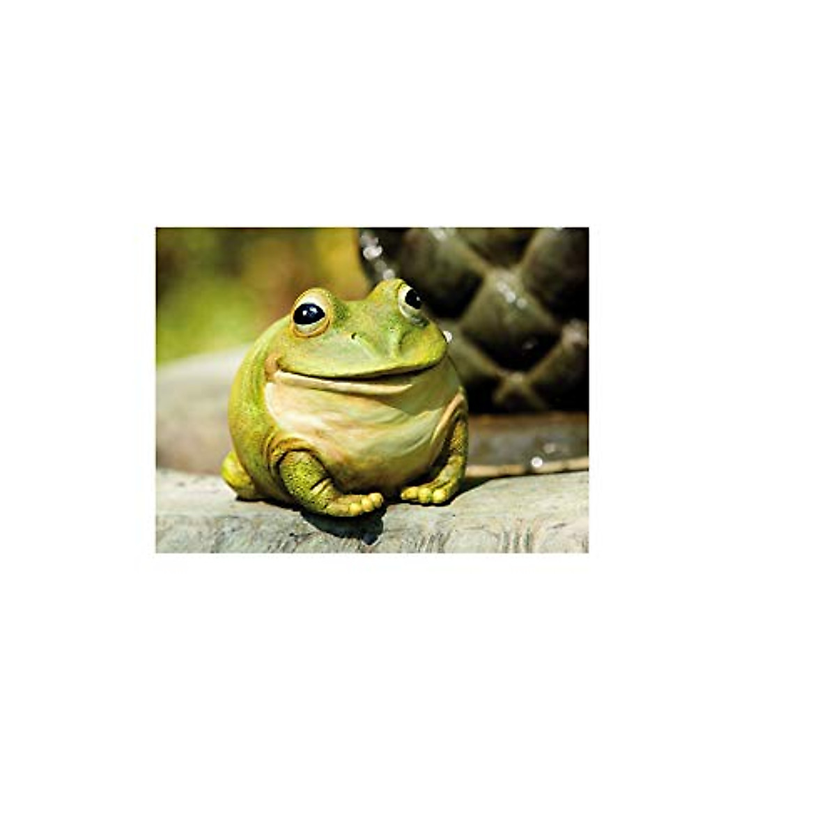Evergreen Cute Portly Frog Outdoor Statue and Secret Key Holder | Weatherproof and Outdoor Safe | Garden Sculpture | Porch Garage or Patio Home Decor | 6 Inches Tall