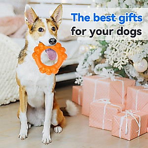 Indestructible Dog Chew Ring Toys for Aggressive Chewers, Super Chewer Dog Toys for Medium Large Dogs, Puppy Teething Rings for Relax,Interactive Dog Ring Toys for Boredom,Heavy Duty Dog Teething Toys