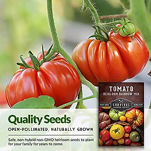 Survival Garden Seeds - Heirloom Rainbow Mix Tomato Seed for Planting - Packet with Instructions to Plant and Grow in Your Home Vegetable Garden - Non-GMO Heirloom Variety - 2 Packs