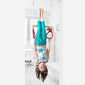 DreamGYM Doorway Sensory Swing Kit - Blue Compression Swing and Trapeze Bar with Red Gym Rings Combo