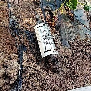 DSQSTMR Mole Traps That Work Gopher Squirrel Spring Best Rat Trap Outdoor Vole for Lawns Easy Reusable Smart Snare Trapping