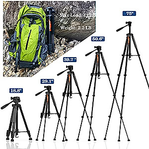 KINGJOY 75" Camera Tripod for Canon Nikon Cell Phone Tall Tripod with Wireless Remote Travel Bag Phone Tablet Holder Compatible with DSLR Cameras, Cell Phones, Projector, Binocular, Spotting Scopes