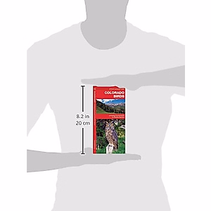 Colorado Birds: A Folding Pocket Guide to Familiar Species (Nature Observation North America)