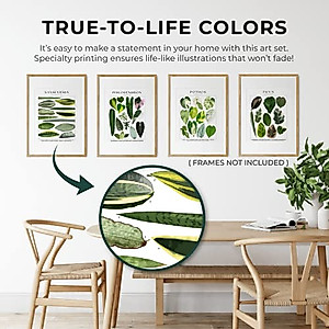Buy 3 Get 1 Offer - Set of 4 UNFRAMED Plant Poster - Botanical Wall Art - Plant Stuff - Green Wall Art - Plant Wall Art - Plant Art Wall Prints - Plant Prints - Plant Pictures Wall Art - 8x10" (FOLIA)