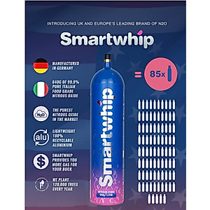 Smart Whip Whipped Cream Chargers - Pure N2O Whipped Cream Cylinder -Liter Nitrous Oxide Chargers (640 gram) Compatible with Cream Whippers - 1 Carton (6 cylinders)