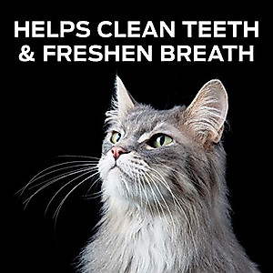 Purina Pro Plan Veterinary Diets Crunchy Bites Cat Treats - 1.8 oz. Pouch