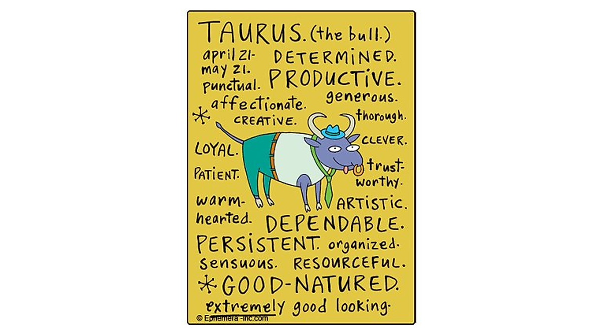 Taurus Clayboys Rectangular Magnet for Your Home