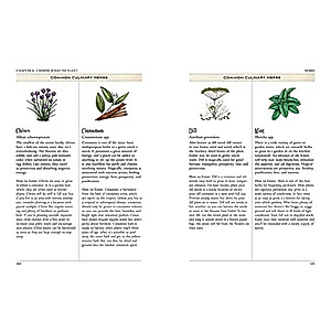 The Green Witch's Garden: Your Complete Guide to Creating and Cultivating a Magical Garden Space (Green Witch Witchcraft Series)