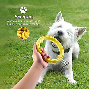 Fluffy Paws Dog Chewing Ring - Soft Rubber Ring Dental Chewing Teething Biting Chasing Training Toy for Small and Medium Dog Puppy - 7", Yellow