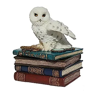 US 4.75 Inch Snow Owl Flap Wings on Books Trinket Box, White Color