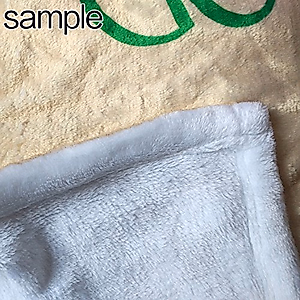 TSlook 60x80 Blankets Funny American Bison Buffalo Wildlife Animal Comfy Funny Bed Blanket